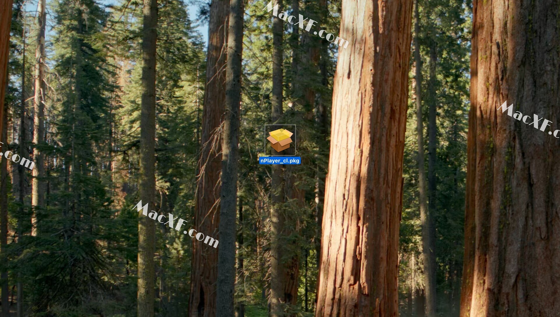 nPlayer Mac破解版-nPlayer for Mac(视频播放神器)- MacXF